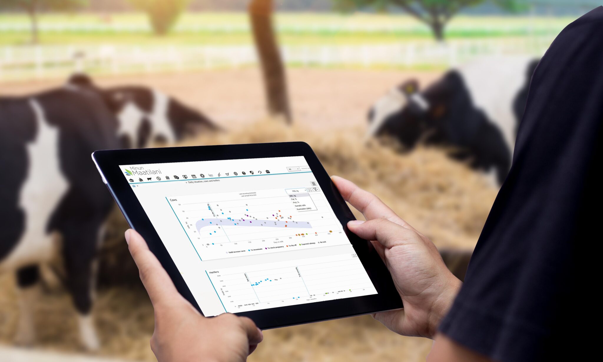 Farmer-operated milk recording - robust and cost-effective