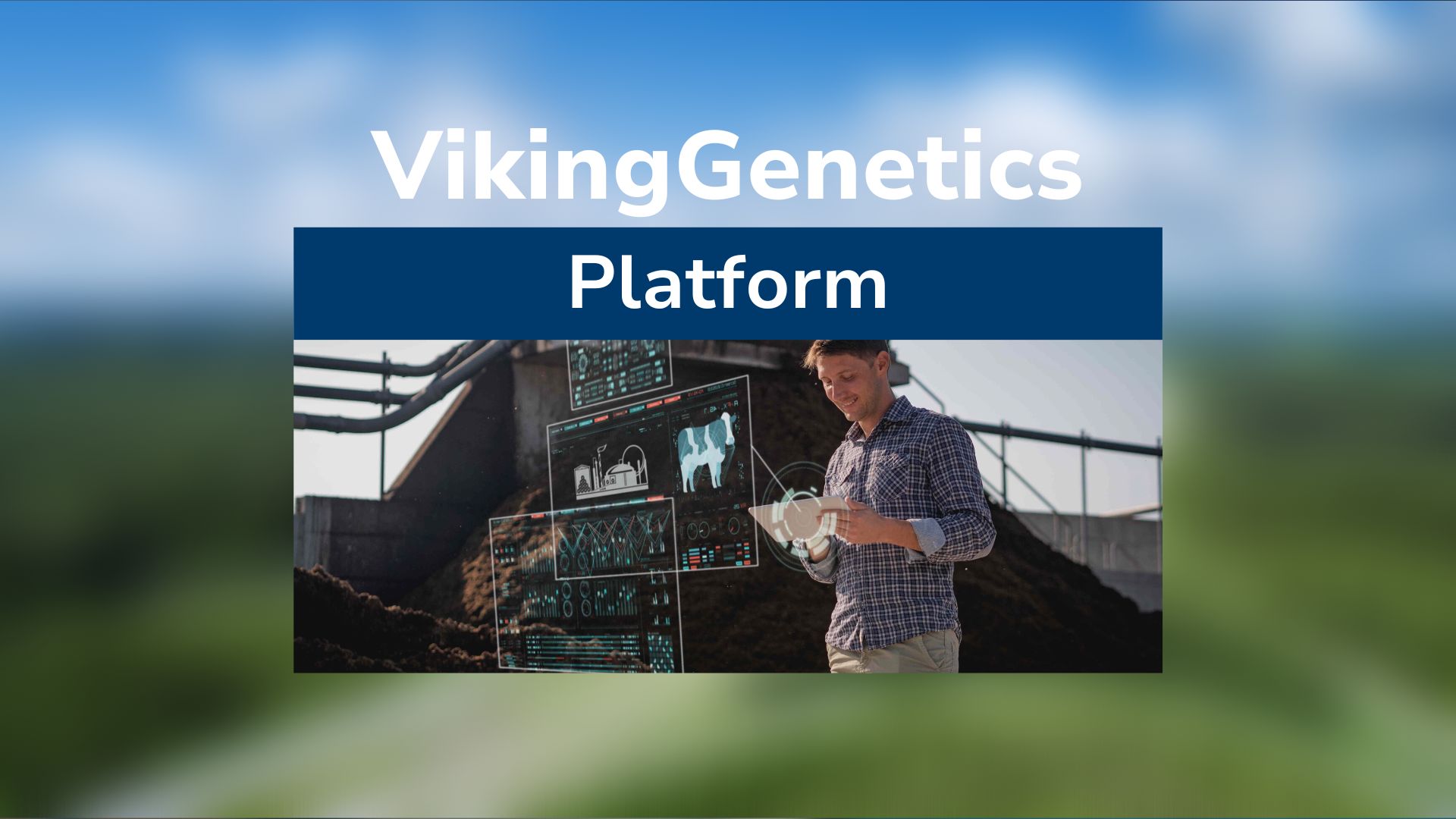 Verkkoalusta, digitaalinen työkalu | Mtech