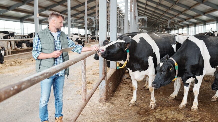 Mtech delivers Dyrlæger & Ko a New Digital Animal Health Tool for ...